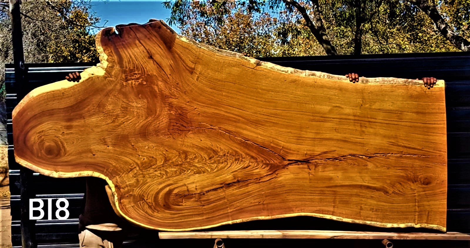 Brown Ivory Slabs | African Live Edge Furniture